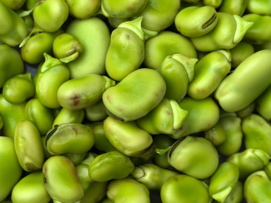 12 Healthiest Varieties of Beans You Need to Know